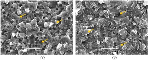 Sem Micrograph Showing The Intergranular Fractures In A Si3n4 And B Download Scientific