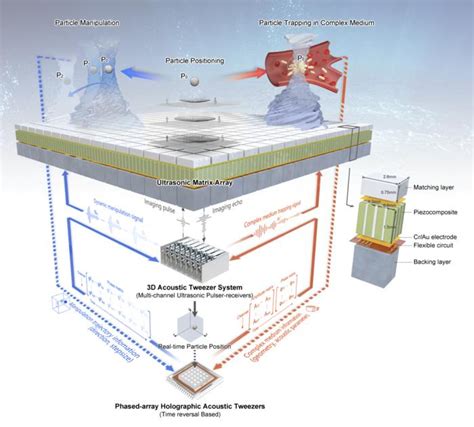 Schematic Diagram Of Phased Ar Image Eurekalert Science News Releases
