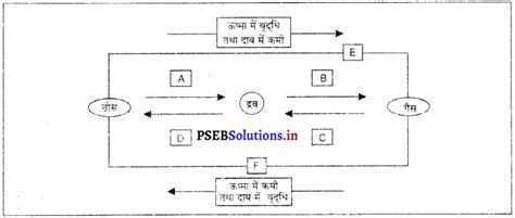 PSEB 9th Class Science Solutions Chapter 1 हमर आस पस क पदरथ PSEB Solutions