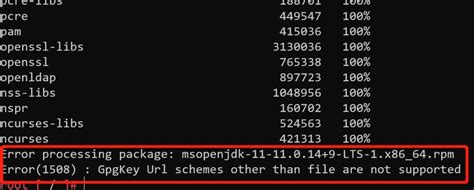Help GpgKey Error When Upgrade JDK Mariner Issue Microsoft Openjdk GitHub