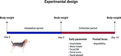 Concept Of The Experimental Design And Parameters Recorded During The