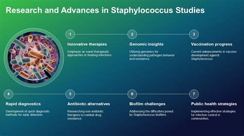 Dynamic Staphylococcus Diagram Ppt Template For Effective Learning Ppt H