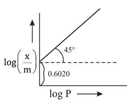 Graph Between Log X M And Log P Is Straight Line At Angle Of 45 With The Intercept Of 0