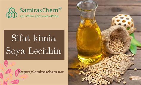 Sifat Kimia Soya Lecithin Multifungsi Dalam Aplikasi Industri