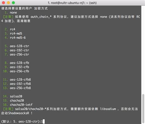 Setting Up A Shadowsocksr Proxy Server 101对双生儿s Blog