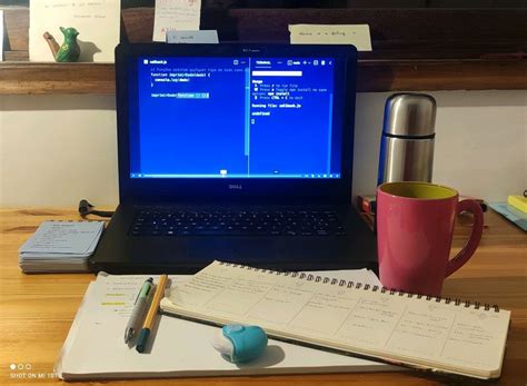 fernanda moreira on linkedin webdevelopment