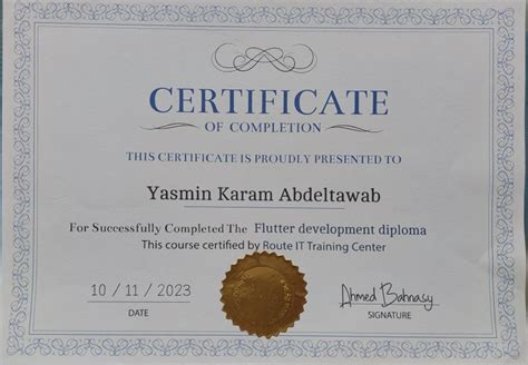 Yasmeen Karm On Linkedin Im Thrilled To Announce That I Have A Certificate Of Flutter Development…