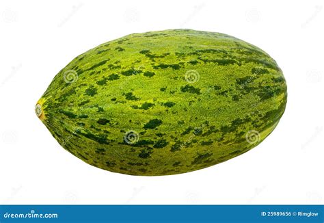 Piel De Sapo Melon Royalty-Free Stock Photo | CartoonDealer.com #57300045