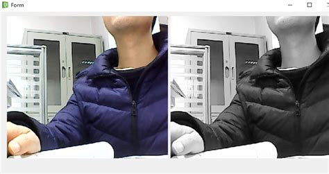 Real Time Acquisition And Grey Camera Data With Pyqt5 And Opencv By