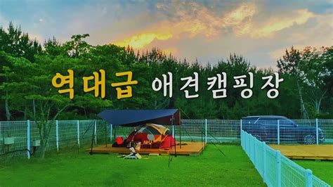 강아지와 함께 보내는 여름캠핑 애견동반캠핑미니멀캠핑부쉬크래프트 Youtube