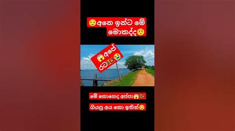 🥺ඇයි අප්පා Srilankaව🇱🇰 මෙච්චර ලස්සන🤗දලා එන්ටනම් ලොබයි අප්පා මේ පරිසර පද්දතිය😭😱 Srilanka Travel