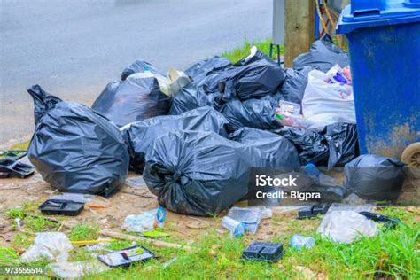 더미 검은 쓰레기 길가 및 비 복사 공간 도시에서 가방에 텍스트 추가 쓰레기에 대한 스톡 사진 및 기타 이미지 쓰레기 쥐 0명 Istock