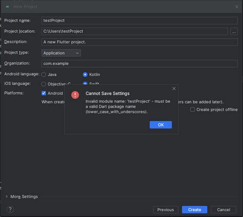 Flutter Invalid module name 오류 해결