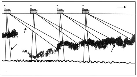 Schematic Of Echo Sounder And Sonar Ensonifying A School Of Herring At Download Scientific
