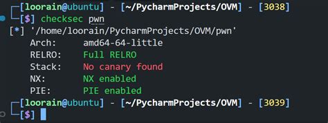 PWN环境搭建萌新入门 Loora N s Blog 鹭雨
