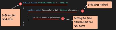 C Inheritance And Polymorphism With Program Examples