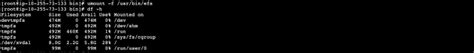How To Mount Aws Efs File System On Ec2 Instance Computingforgeeks