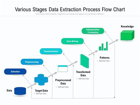 Various Stages Data Extraction Process Flow Chart Ppt Powerpoint Presentation Pictures Show Pdf