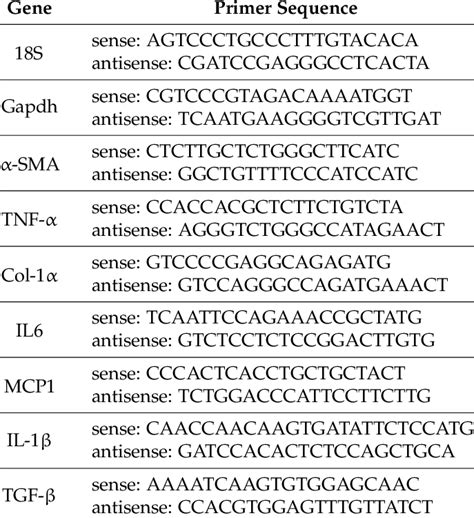 Rt Qpcr Primer Sequences Download Table