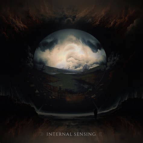 Internal Sensing M Faisandier