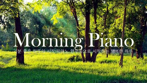 기분 좋은 하루의 시작🌷피아노 연주곡으로 시작하는 행복한 하루 Youtube Music