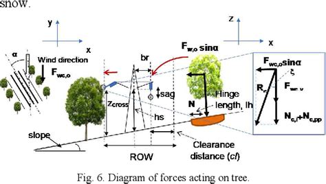 figure 6 from an innovative tree interference mapping with lidar for