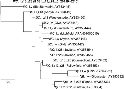 Seqsero2 Rapid And Improved Salmonella Serotype Determination Using Whole Genome Sequencing