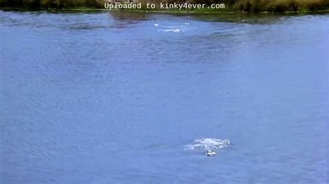 Underwater Capture Eporner