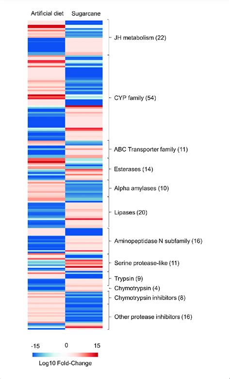 heatmap showing the expression profile of transcripts clustered into