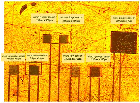 Optical Micrograph Of A Flexible Seven In One Microsensor Download