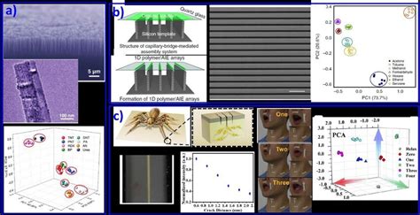 1d Nanomaterial Based Sensor Arrays A A Sinwsznorgo Schottky Sensor