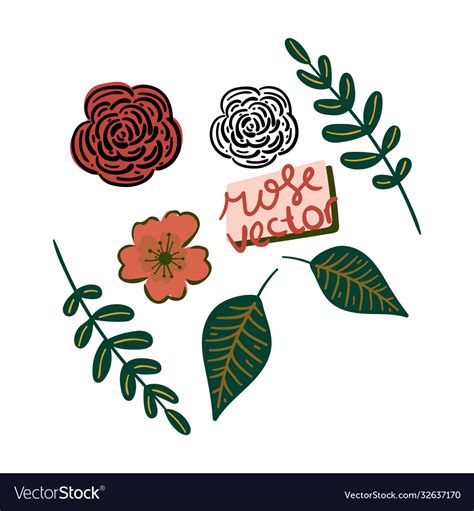 Hand Drawn Doodle Rose Flower Set Collection Vector Image