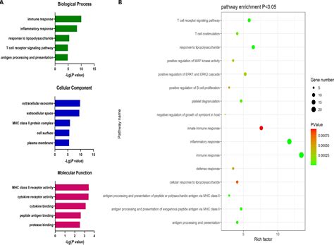 Bioinformatics And Raman Spectroscopy Based Identification Of Key Pathways And Genes Enabling
