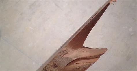 Narwhal Or Goblin Shark Found In Broken 2x2 Word Imgur