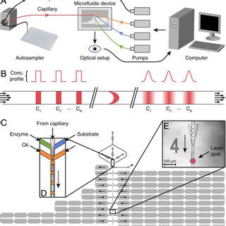 PDF High Resolution Dose Response Screening Using Droplet Based