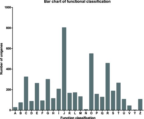 The Cog Functional Categories Download Scientific Diagram
