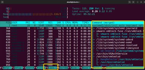 The Htop Command In Linux 7 Practical Examples LinuxSimply
