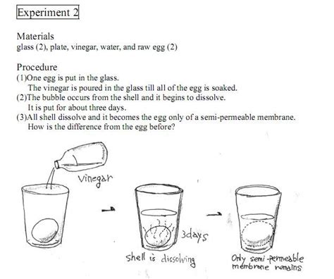 experiment about semi permeable membrane and osmotic pressure