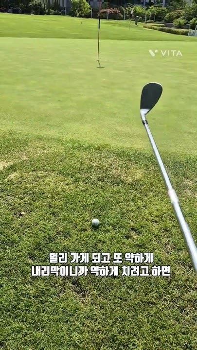 백만원주고 배운 레슨 어프로치레슨 퍼팅레슨 골프스윙 Youtube