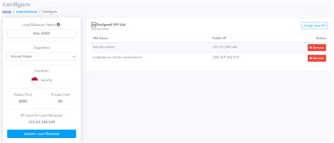 ServerStadium Load Balancer Solution To Distribute Load Equally