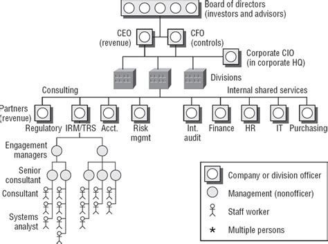 CISA Certified Information Systems Auditor Study Identifying Roles In A Consulting Firm