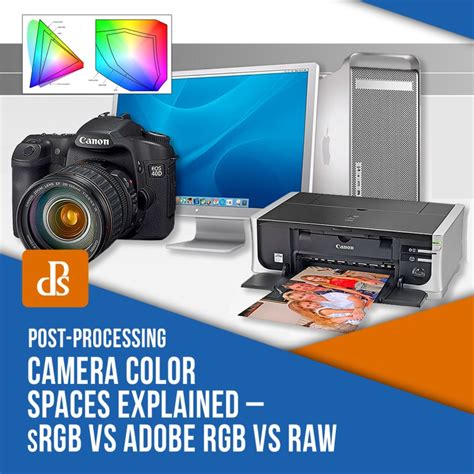 Camera Color Spaces Explained Srgb Vs Adobe Rgb Vs Raw