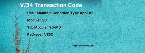 V34 Sap Tcode For Maintain Condition Type Appl V2