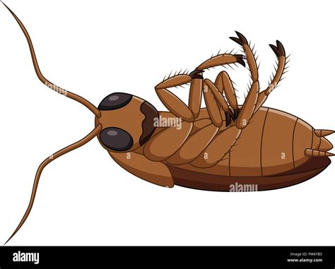 Cartoon Dead Cockroach Stock Vector Image And Art Alamy