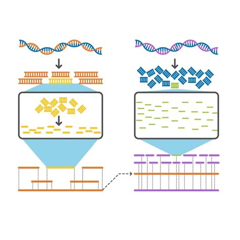 Services Dawn Of Bioinformatics Bioinformatics Services Genomics Proteomics Rnaseq