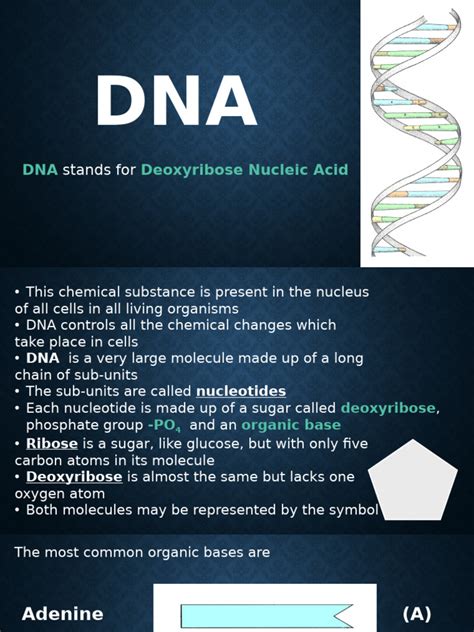 Stands For Dna Deoxyribose Nucleic Acid Pdf