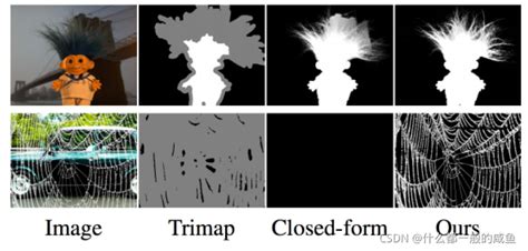 人体图像相关技术 （二）行人检测数据集 介绍（含人像分割数据集） Csdn博客