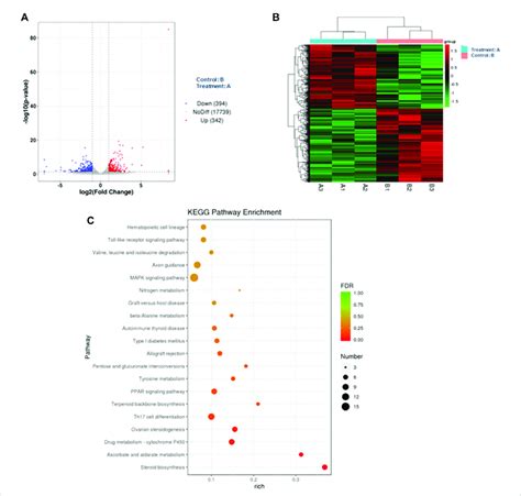 Bioinformatics Analysis Of Ovarian Tissue In The Control N 3 And 5 Download Scientific