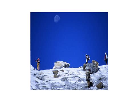 Automatic Colorization