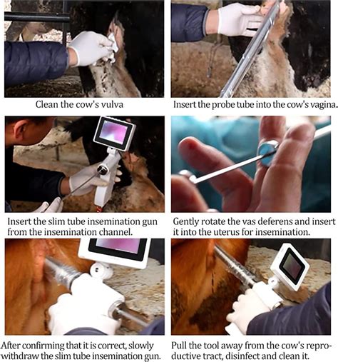 Afito Artificial Insemination Gun For Cows Cattle Visual India Ubuy